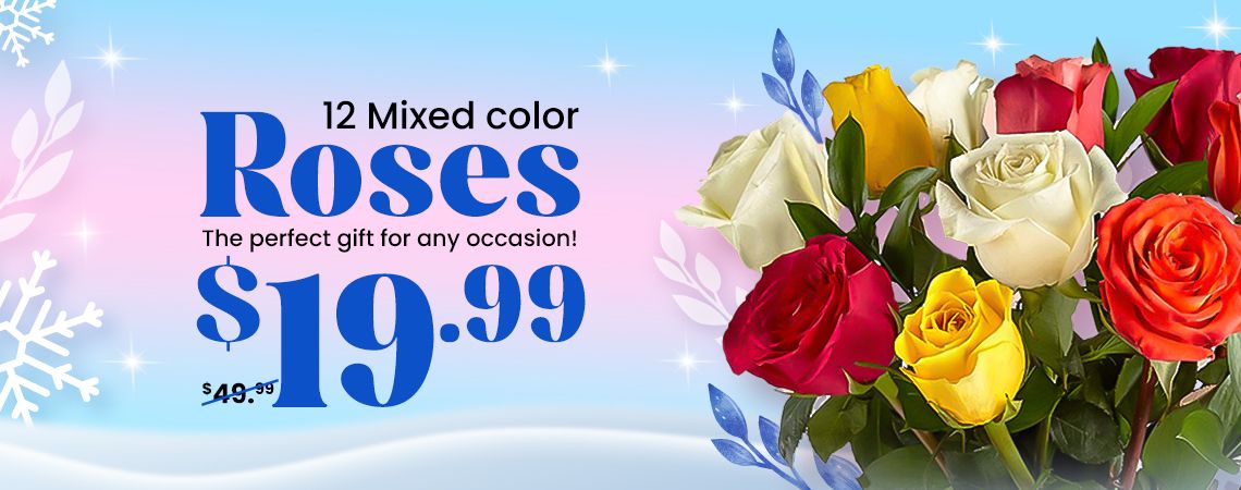 416 Flowers | Same day Flower Delivery Toronto | Funeral Flowers