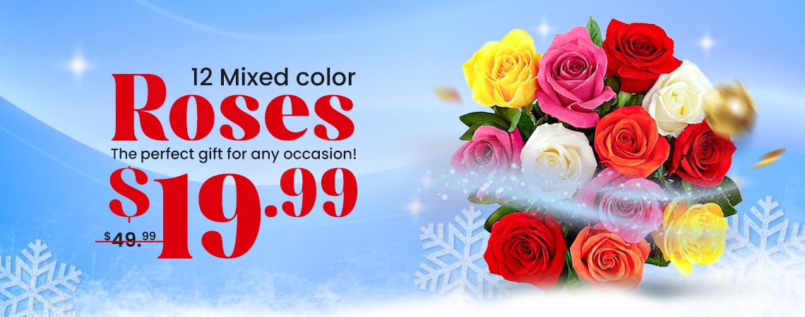 416 Flowers | Same day Flower Delivery Toronto | Funeral Flowers