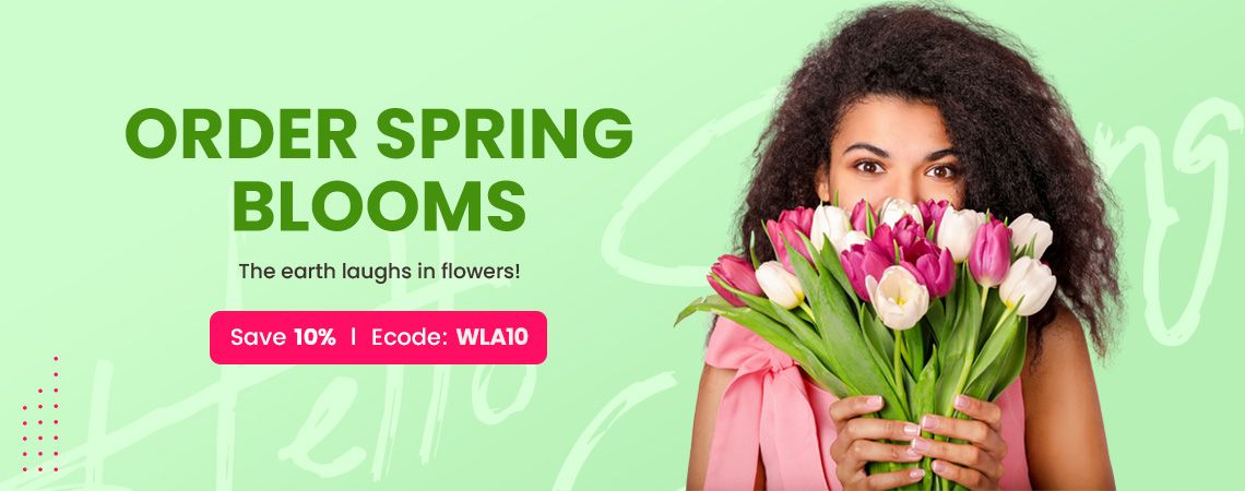 416 Flowers | Same day Flower Delivery Toronto | Funeral Flowers