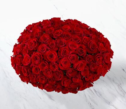 100 Premium Long-Stemmed Roses Breathless Luxury Rose Bouquet a1370 ...