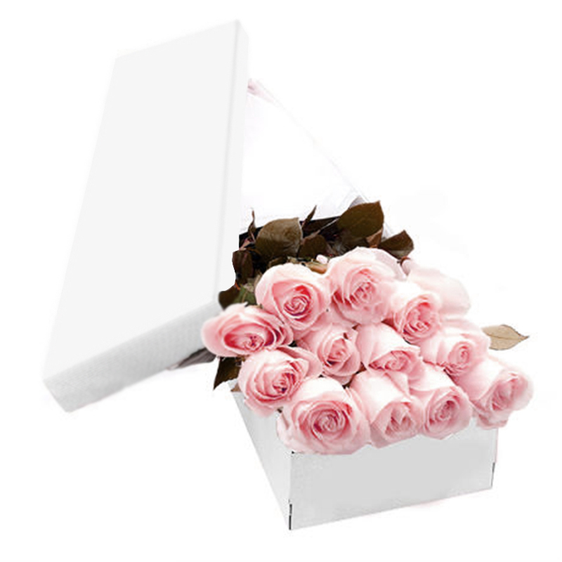 Dozen Pink Long Stem Roses Boxed a2236 | Flower Delivery | Flower Shop