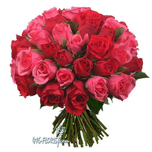 ***Shades of 36 Pink Roses Bouquet a2280 | Flower Delivery | Flower Shop