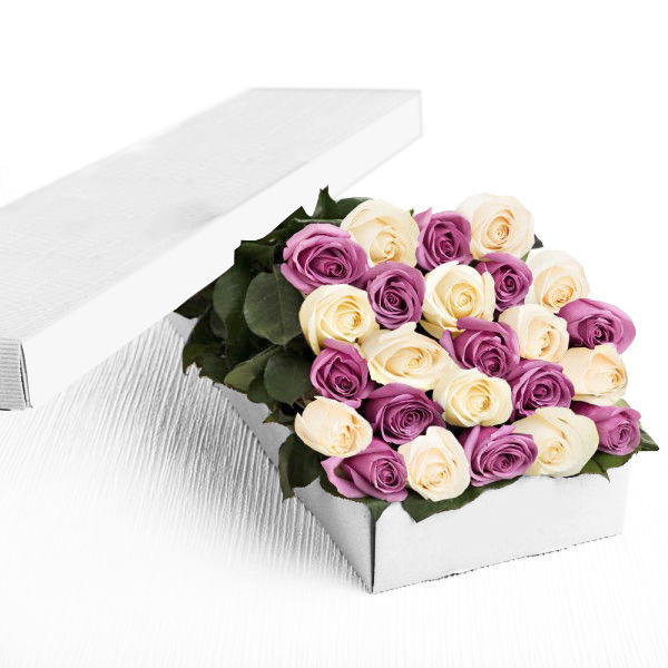 2 Dozen Lavender & Cream Roses in a Box a3283 | Flower Delivery ...