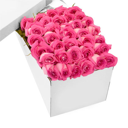 3 Dozen Pink Roses in a Box a3284 | Flower Delivery | Flower Shop