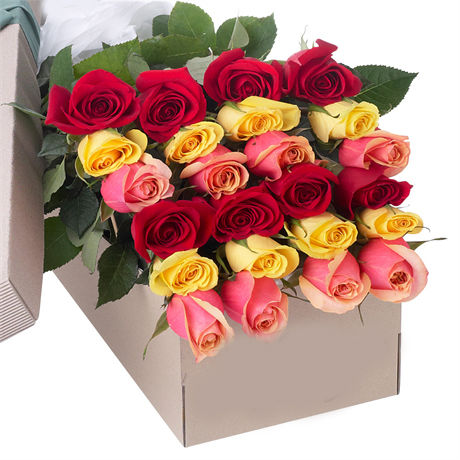 2 Dozen Assorted Color Roses in a Box a3286 | Flower Delivery | Flower Shop