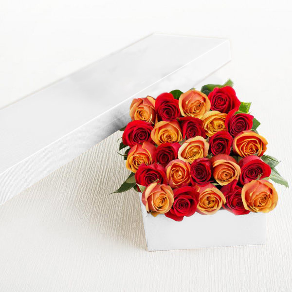 2 Dozen Red and Peach Roses in a Box a3304 | Flower Delivery | Flower Shop