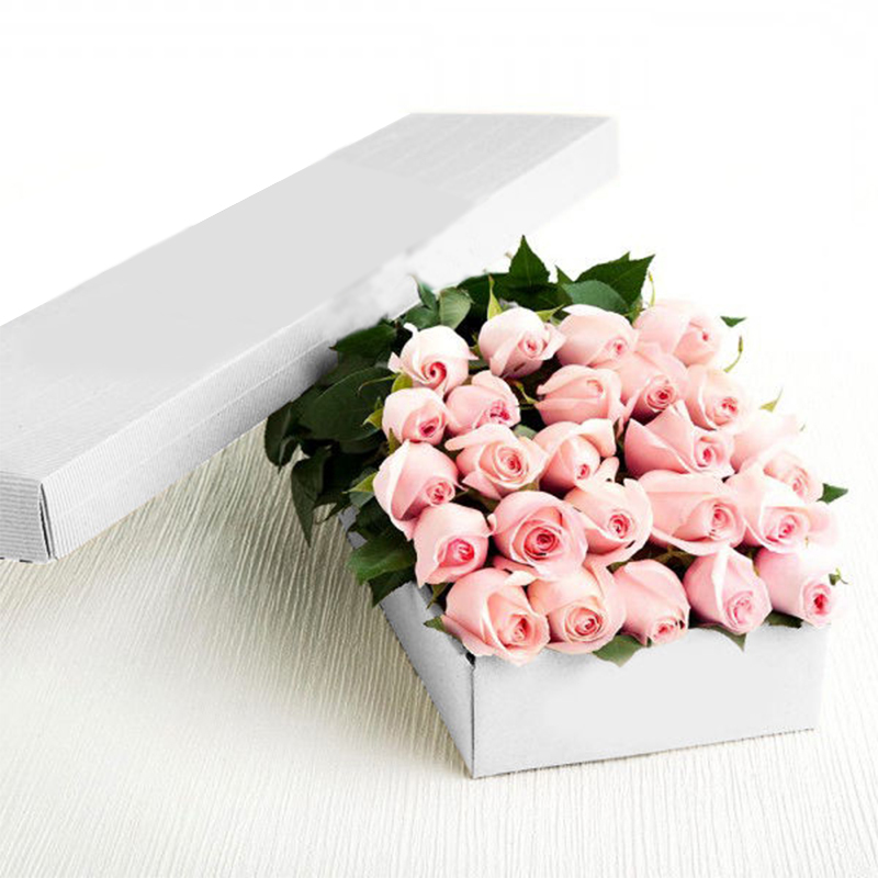 2 Dozen Premium Pink Roses in a Box a3306 | Flower Delivery | Flower Shop