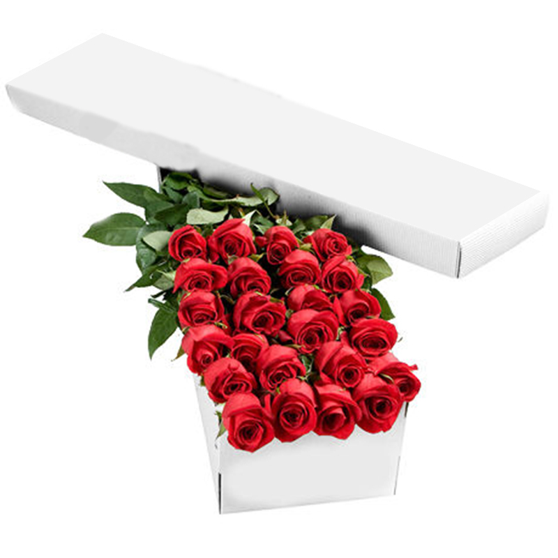 2 Dozen Premium Red Roses in a Box a3308 | Flower Delivery | Flower Shop