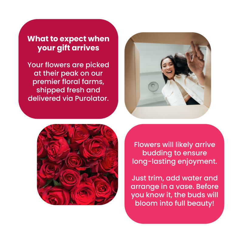 Dozen Red Roses in a Box a3309 | Flower Delivery | Flower Shop