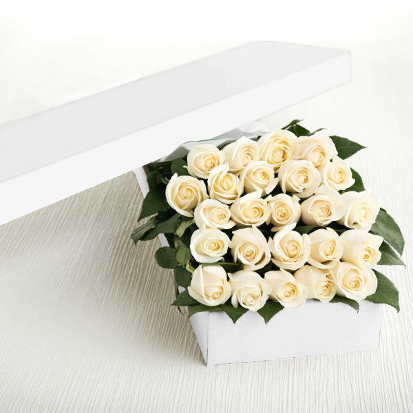 2 Dozen White Roses in a Box a3310 | Flower Delivery | Flower Shop