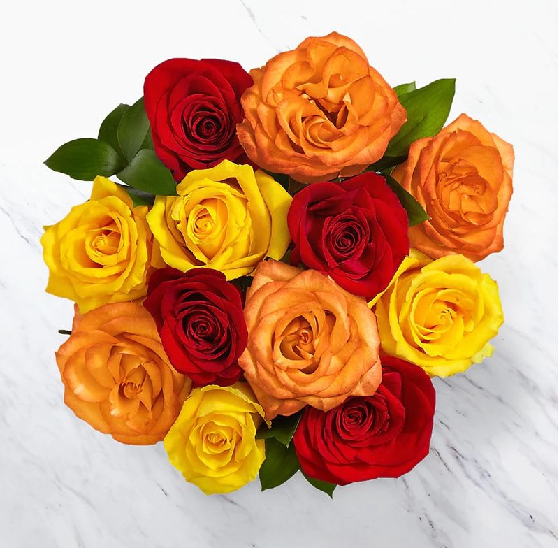 12 Autumn Color Mix Roses a4019 | Flower Delivery | Flower Shop
