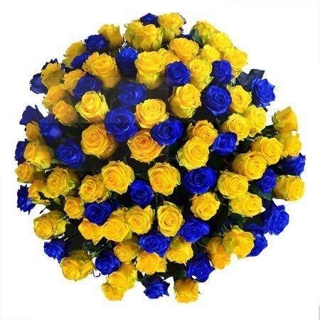 Luxury Blue and Yellow Roses a6002 | Flower Delivery | Flower Shop