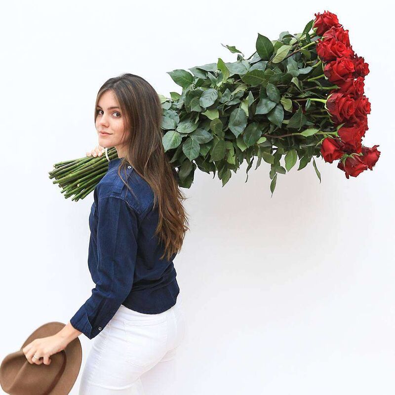 100 CM Roses a8088 | Flower Delivery | Flower Shop