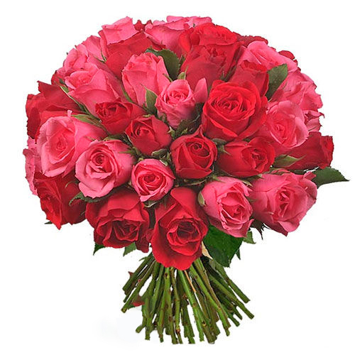 50 Pink Roses Bouquet a9431 | Flower Delivery | Flower Shop